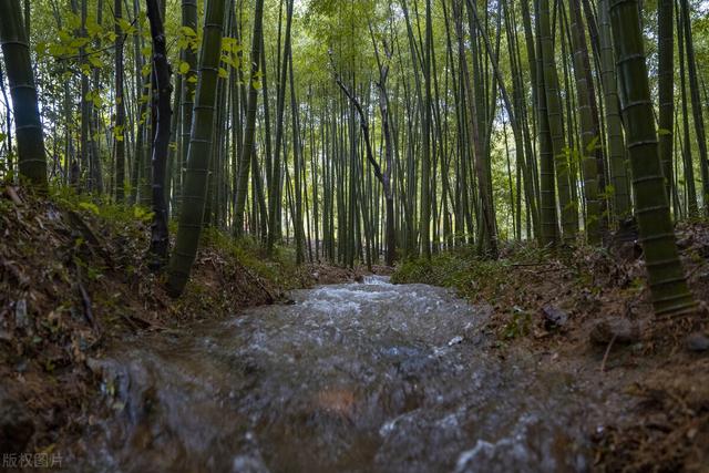 Practice boxing step by step, these are the necessary stages - iMedia