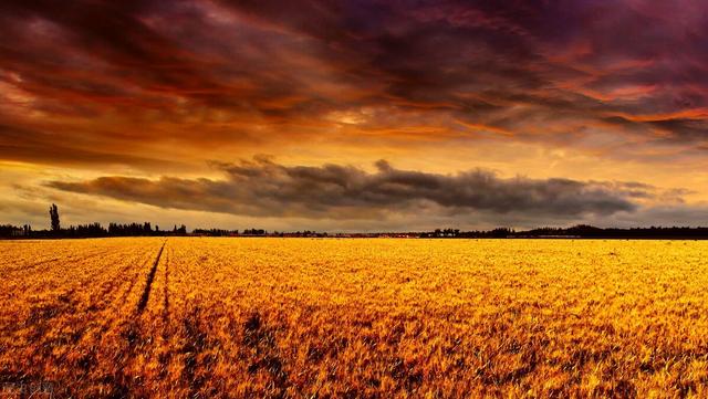 Some people just want to be the catcher in the rye, while some people ...