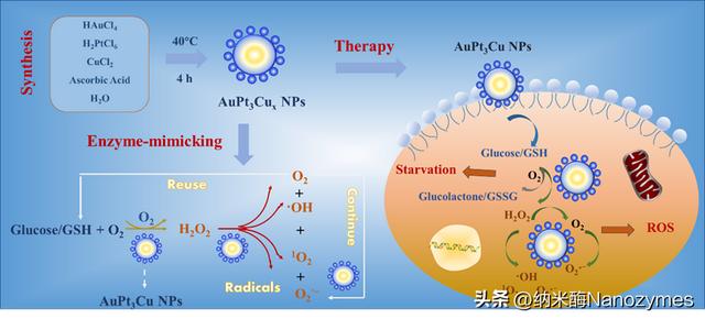 New application of gold-platinum-copper alloy multifunctional nanozyme ...