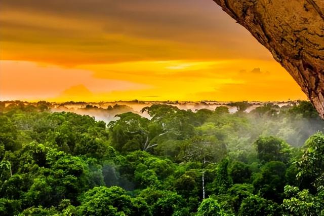 The "lungs of the earth" Amazon rainforest, with abundant rainfall and ...