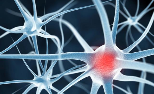 What are the serious harms of autonomic disorders? How to treat ...