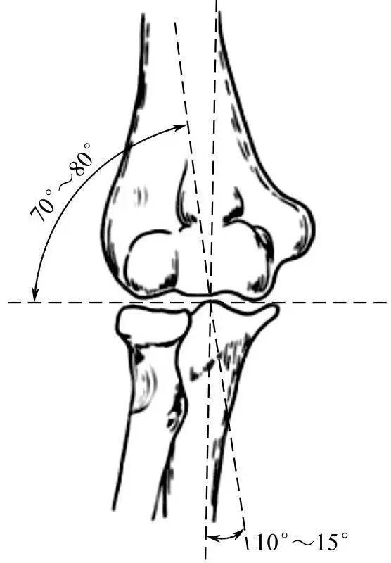 Points for attention in the diagnosis and treatment of elbow fractures ...
