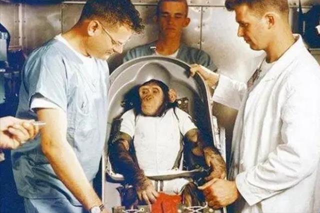 The Soviet Union's "Ape Experiment" spent a lot of money to find 5 ...