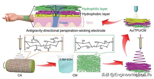 "Tao imitates nature"--Inventory of the wonderful biological ...