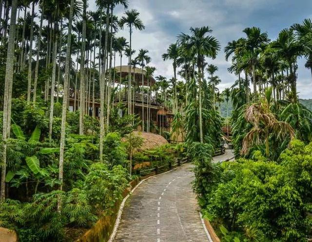 Travel Notes of Betel Nut Valley - iMedia