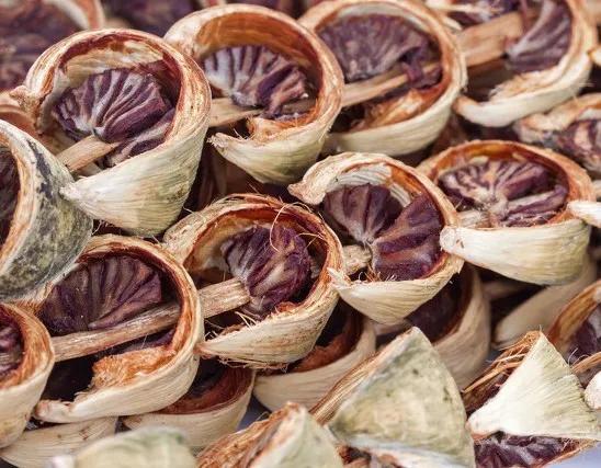 Cancer-causing betel nut, where will it go in the future - iMedia