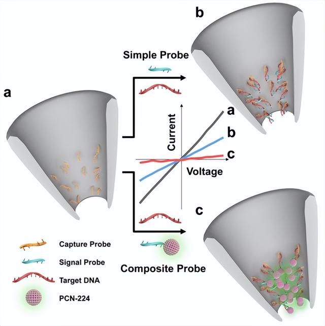 High-sensitivity detection of DNA based on glass pore sensing system ...