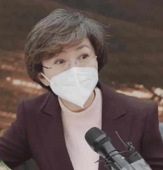 Haixia became a fairy after retirement! Gray hair for a newcomer ...