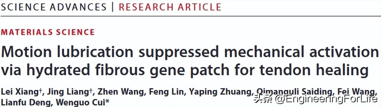 Sci.Adv.: Hydrogel patch achieves tendon healing by inhibiting ...