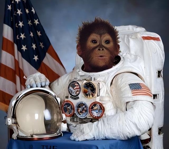 What happened to the monkey sent to space by the United States - iMedia