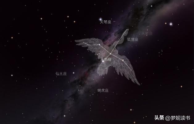 Looking for the beautiful constellation legend - Zeus (Cygnus) who ...