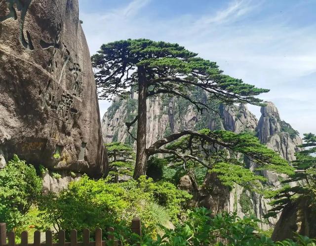 One idiom a day: Hanying Juhua - iMedia