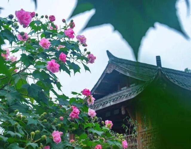 Why is Chengdu also called Rongcheng? - iMedia