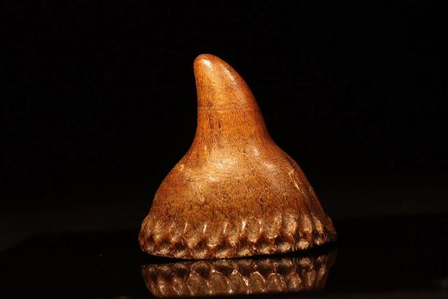 What is the difference between Asian rhino horn and African rhino horn ...