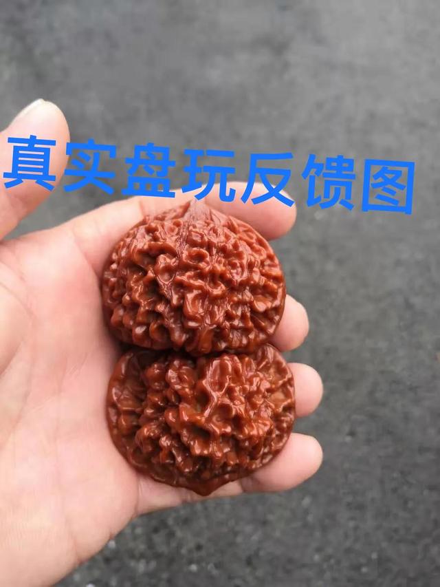 Precautions for Novice Pan Wenwan Walnut - iMedia