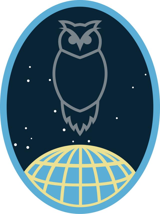 Various logos of the U.S. Space Force: Delta Wing 13th, 30th, and 31st ...