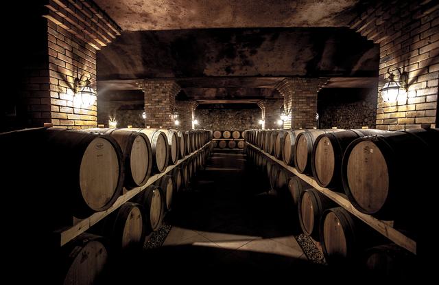 Vionico's development story - iMedia