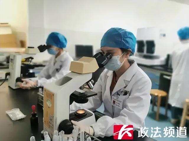 Rare than "panda blood", do you know the Bombay-like blood type? - iMedia