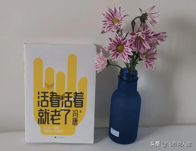 Feng Tang's essays, the picture is a "satisfying" - iMedia