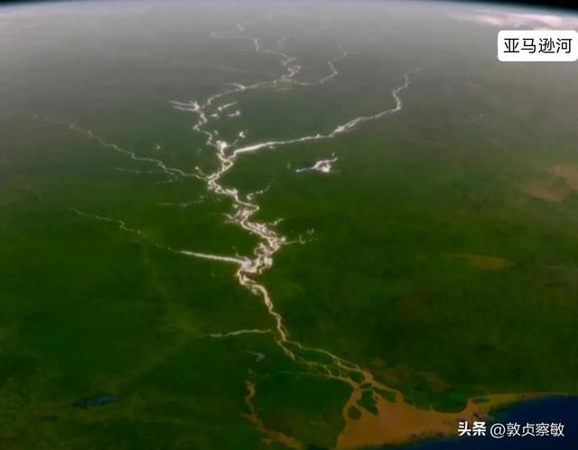 Amazon River - the largest river in the world by area and flow - iMedia