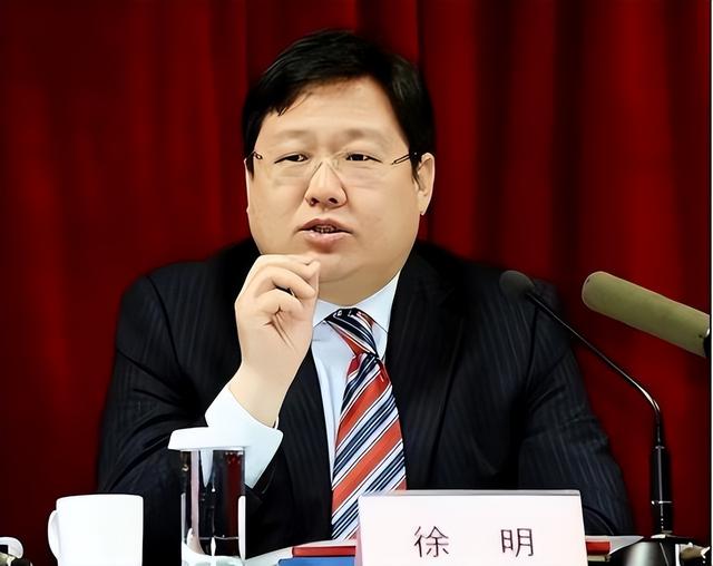 Billionaire Xu Ming died of illness and spent 8 years in prison. How is ...