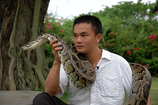 The 150-pound python is willing to be a "nanny" to repay his gratitude ...