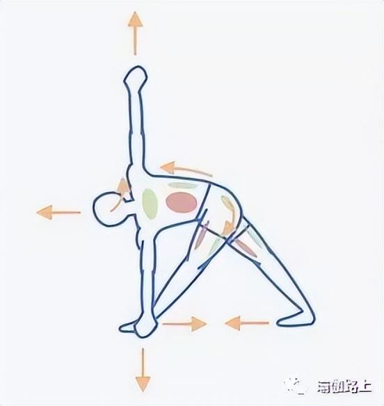 Can you really do yoga "Triangle Twist"?asana details - iMedia