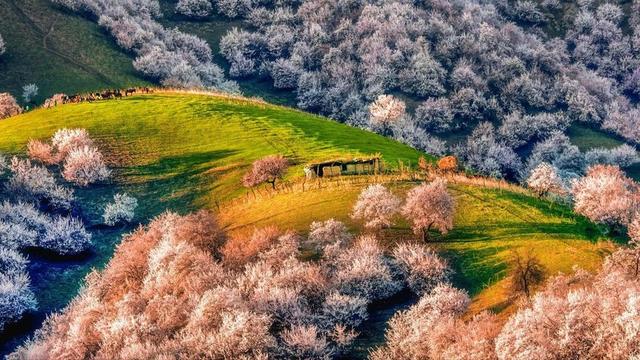 It took 40 million silver to recover, how important is the Ili River ...