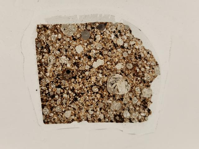 Chondrites in chondrites under microscope - iMedia