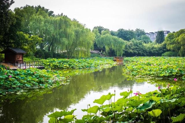 A place suitable for relaxation in Beijing - Zizhu Courtyard - iMedia