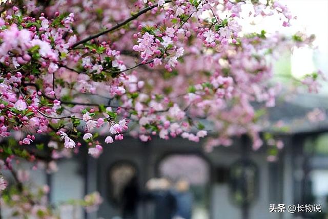 How many spring outings have you done? - iMedia