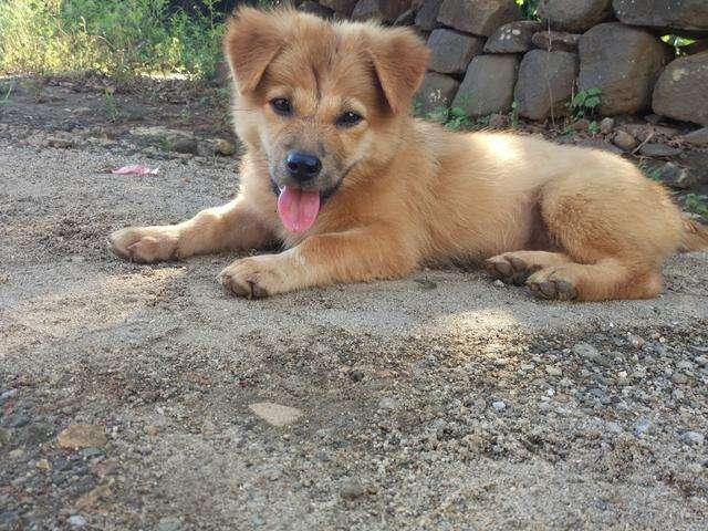 What you don't know about "Tugou" - iMedia