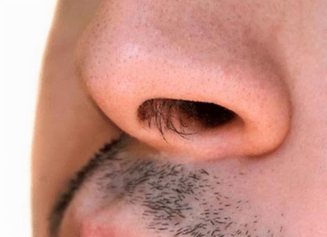 What are the differences between men with protruding nose hair?What ...