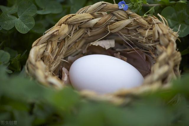 Pangu was born in an egg, and the legends of the Miao and Shui people ...