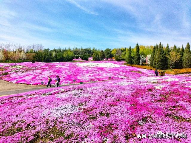 Yinggeshi Botanical Garden, a super beautiful flower viewing place in ...