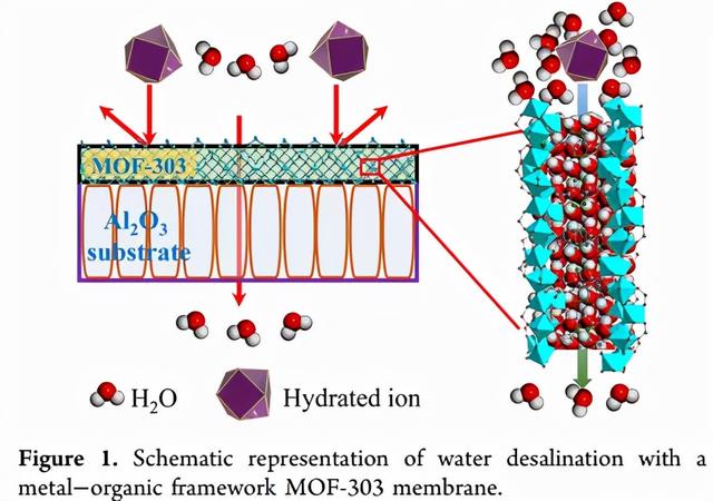 Professor Liu Xinlei of Tianjin University "JACS" rapid water molecule ...
