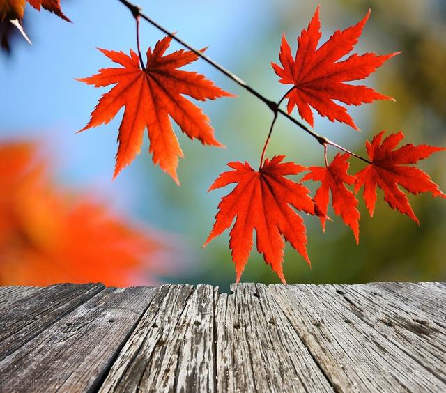 Let it go, everything will pass - iMedia