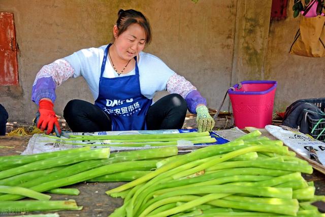 Gong Cai is dried "lettuce"?No one eats fresh, but tastes great after ...