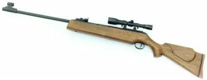 TSA-B21/22 is by far the most powerful and best performance air rifle ...