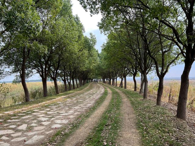 Impressions of Wuhan: Shenhu International Important Wetland Travel ...