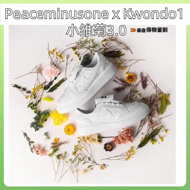 Nikex Daisy Quan Zhilong 3.0 Identification Guide - iMedia