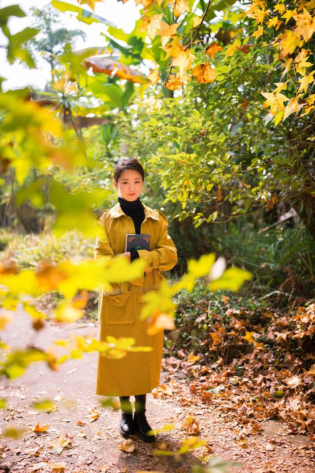 The fallen ginkgo leaves blooming in poetry have been beautiful for ...