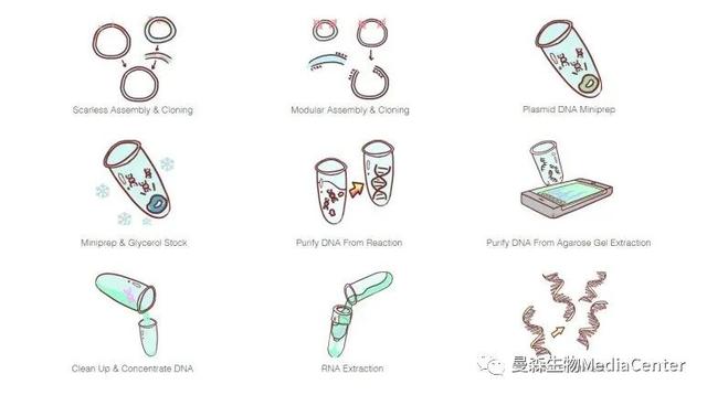 Agile Biofoundry, DAMP Lab - iMedia