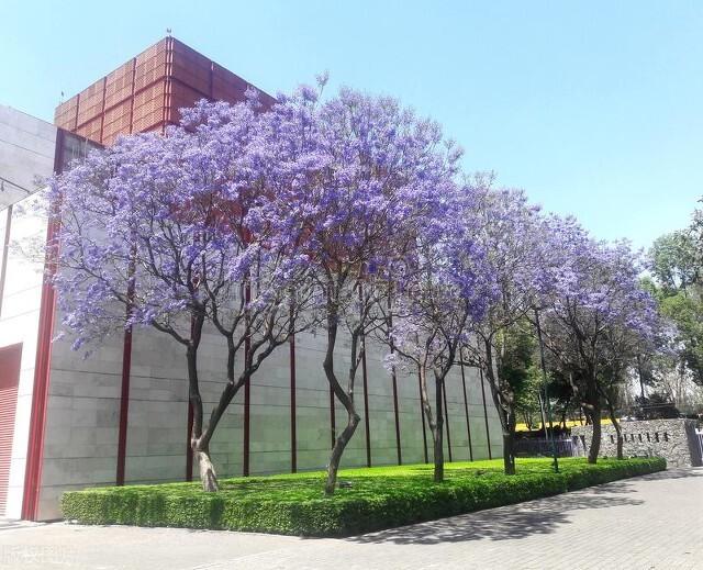 Domestic software, the opportunities and challenges of Xinchuang ...