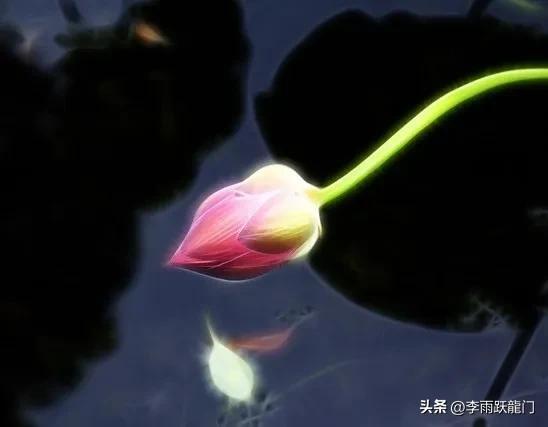 The first chapter of "Su Shu" is primitive, and human wisdom 7 ...