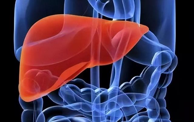 People with poor liver, usually eat 5 kinds of fruits, or can help ...