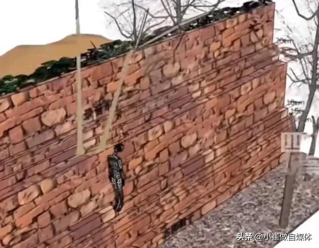 One of the recordings exposed Hu Xinyu's terrible heart, and he died ...