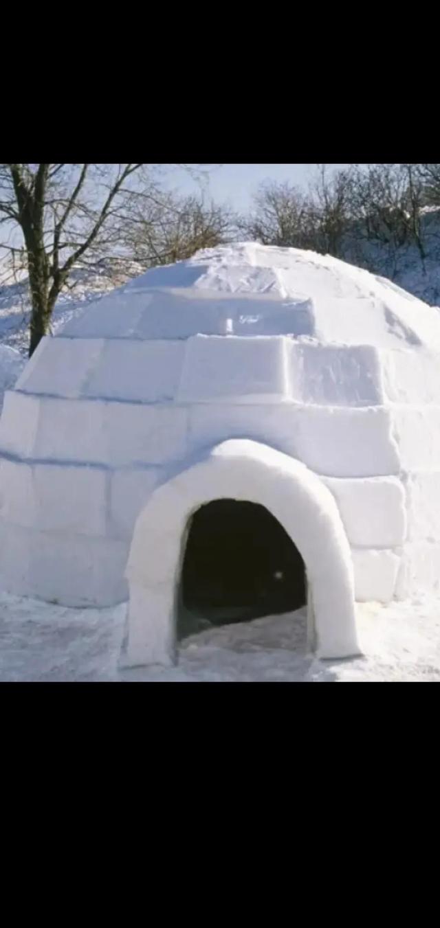 How did the Inuit survive in the Arctic where the outdoor temperature ...