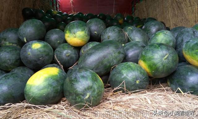 The black-skinned watermelon, once known as the king of fruits, is now ...