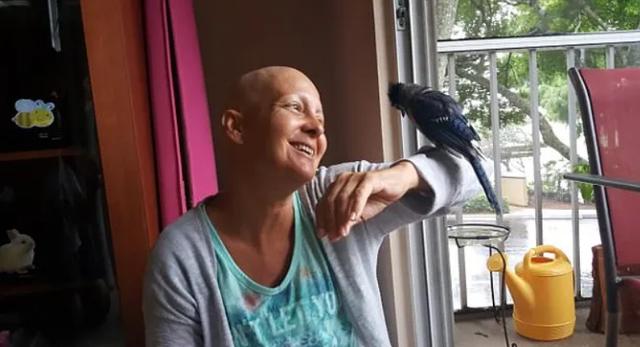 9 years ago, American woman saved a bird, and 3 years later, she was ...